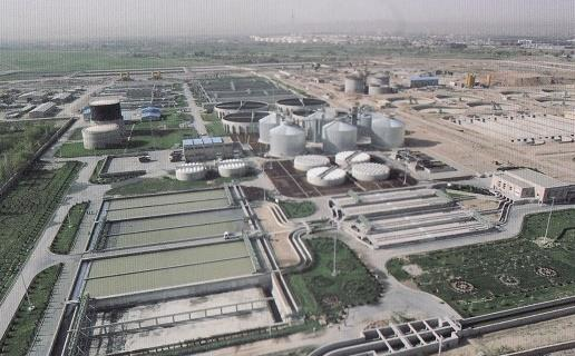 Comparison of Cas, Mbr, Sbr, and Biolak treatment systems in the ...